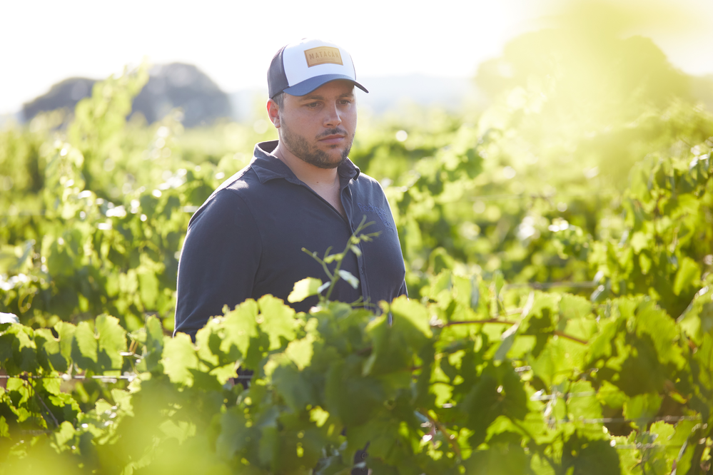 Petit verdot en Almansa, entrevista a Pepe Rodríguez de Vera - La ...